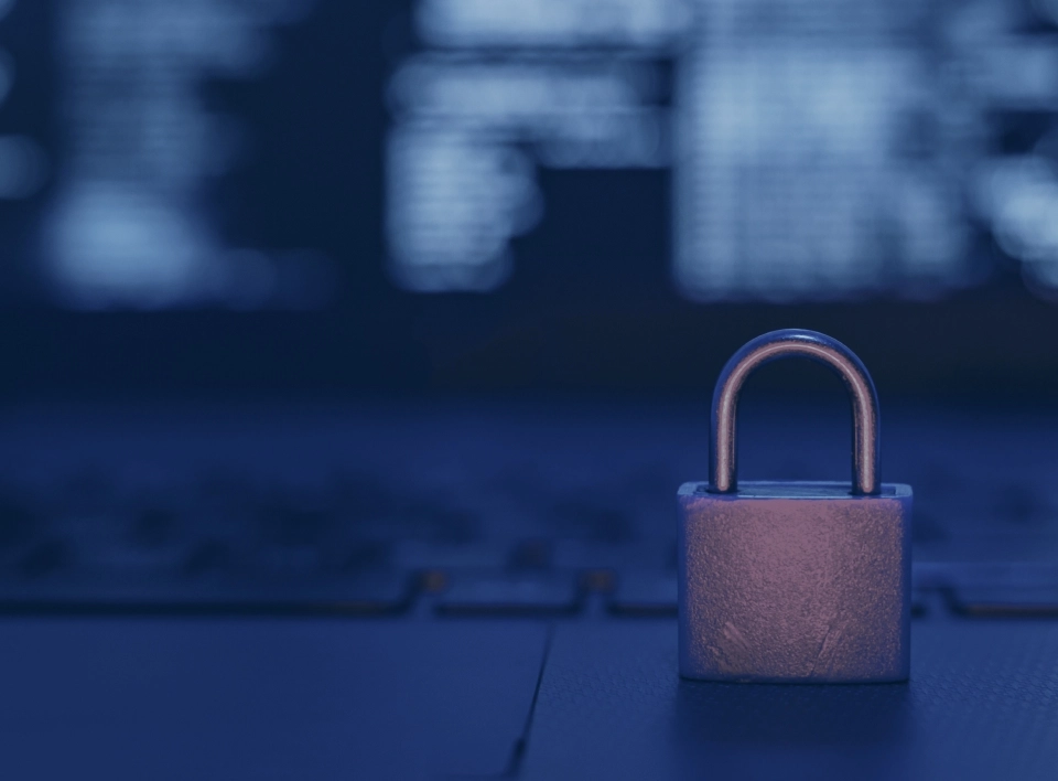 What is Website Security? How To Secure Your Website